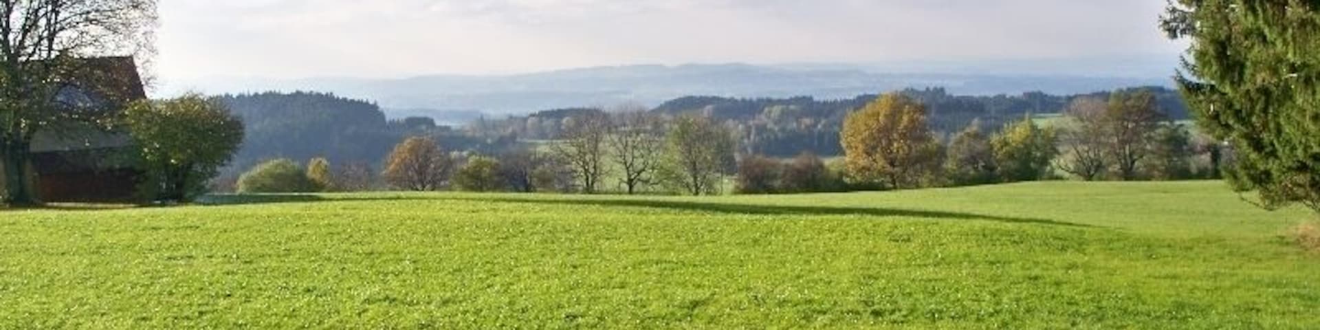Hinterer Ätschberg, Abtwiler OpenAir 1977