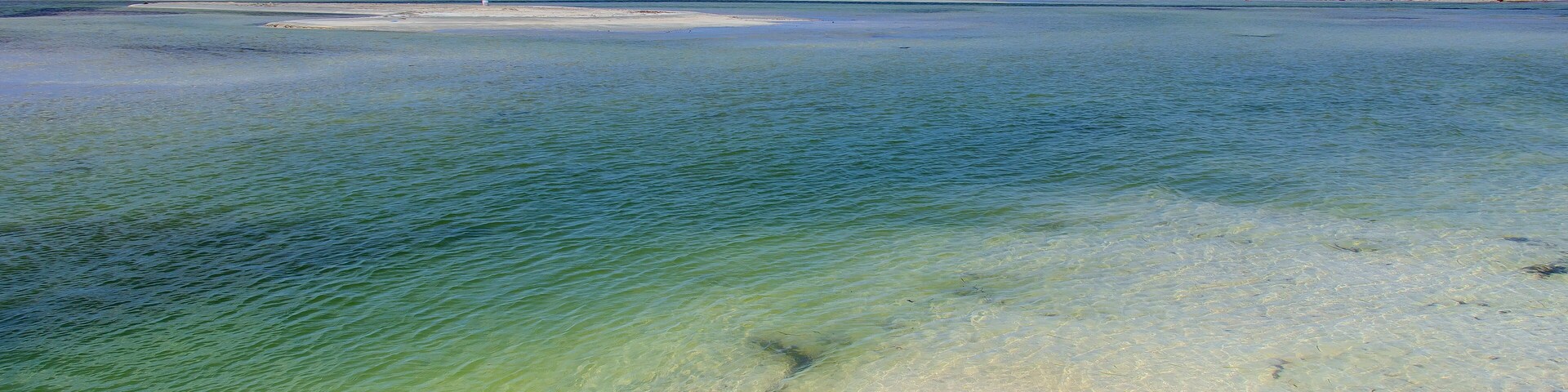 Área costeira calma, águas rasas, uma praia de areia e vegetação ao longe.