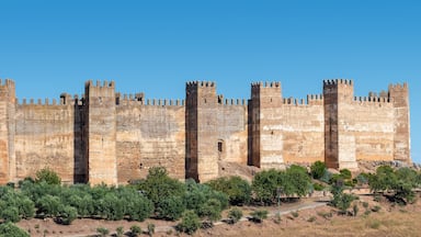Um castelo de pedra histórico com múltiplas torres e ameias, rodeado por uma área ajardinada com árvores.