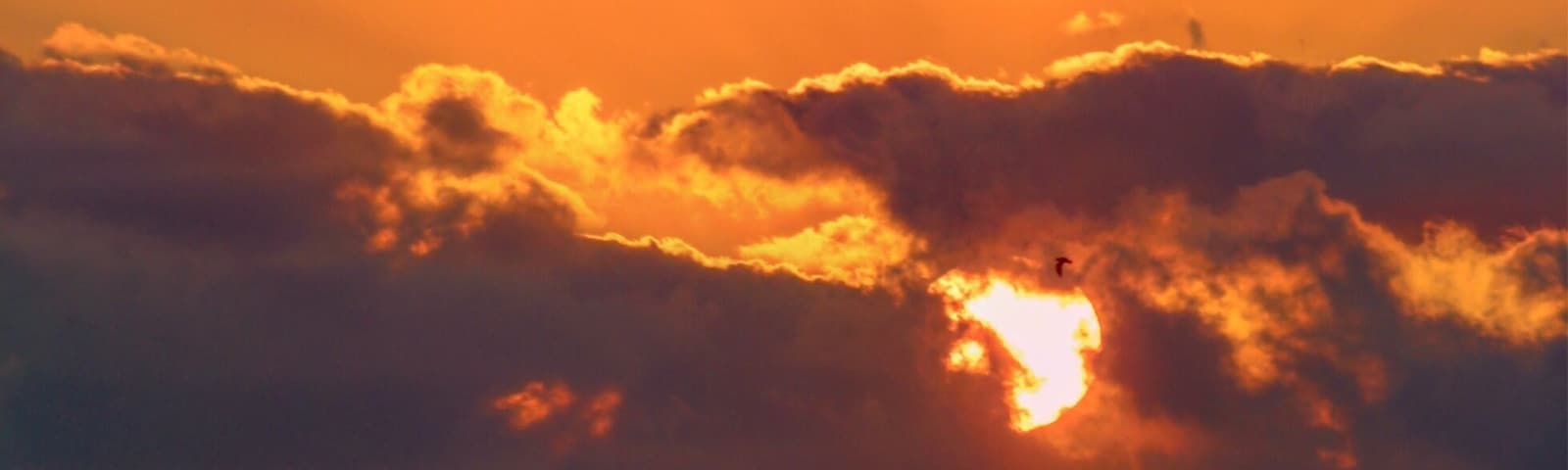 This was such a cute little town in the south of Spain, with a beautiful beach with sunrises definitely worth waking up for! The restaurants on the beach front are lovely with nice sea food! 🥘 😍