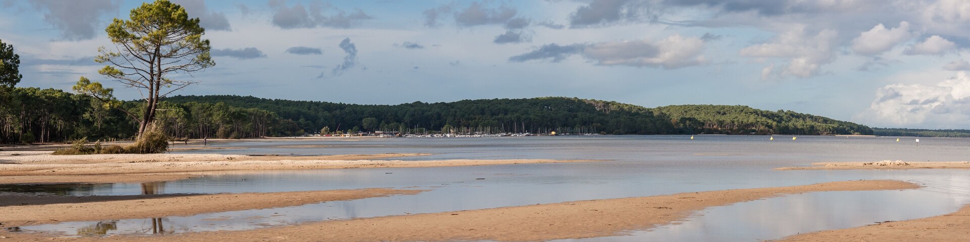 Paisagem costeira com uma praia de areia, uma pequena árvore e uma colina arborizada ao fundo.