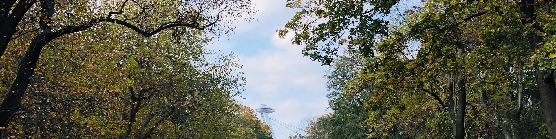 View from the tower back to the UFO observation deck. Lovely for an autumn walk and play in the leaves 🧡