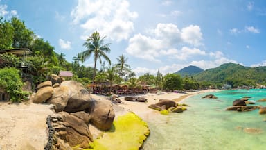 Uma praia tropical com águas turquesa cristalinas, grandes rochas e vegetação exuberante.