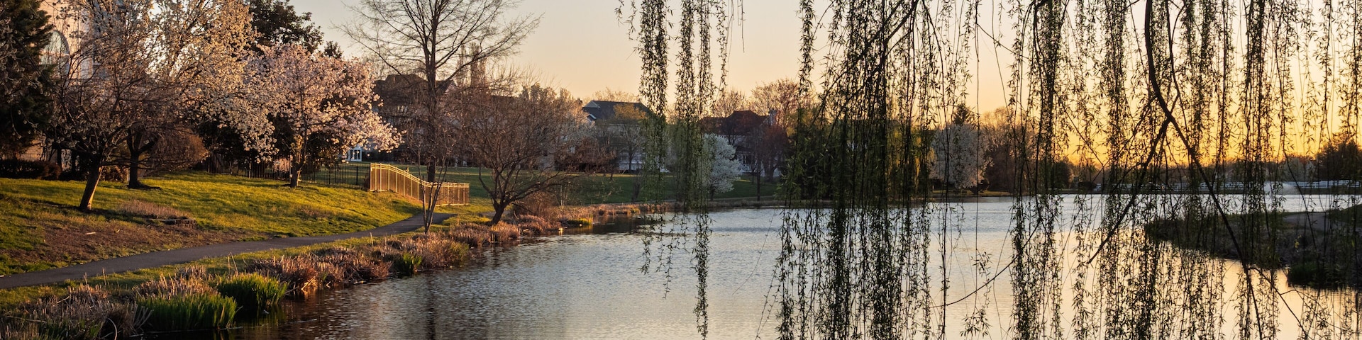 Um parque tranquilo com lago, cerejeiras e salgueiros refletidos na água.