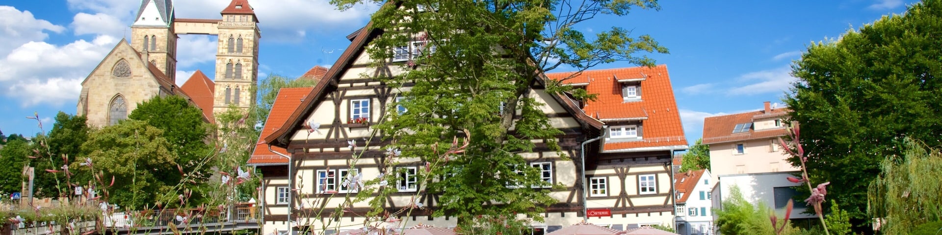 Esslingen que inclui um rio ou córrego