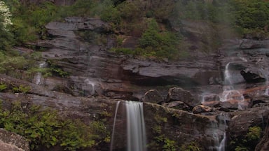 Uma cascata desce por um penhasco rochoso, com vegetação exuberante na base.