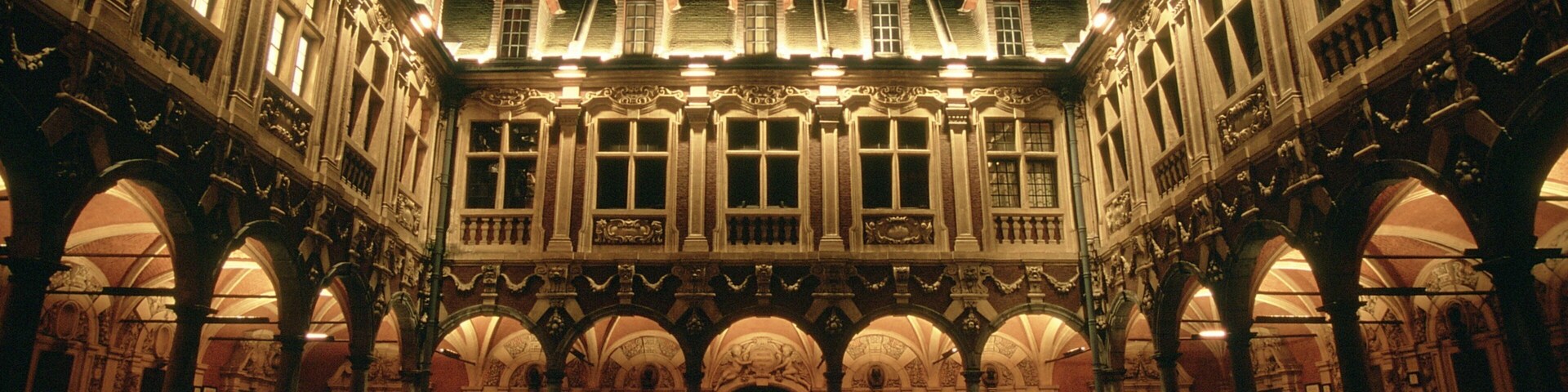 Lille featuring a castle, night scenes and heritage architecture
