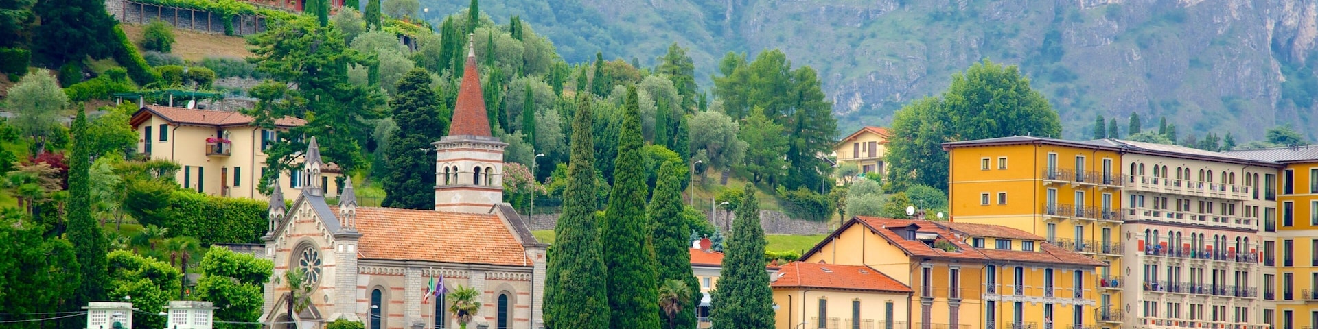 Cadenabbia mostrando paisagens litorâneas, uma marina e uma cidade litorânea