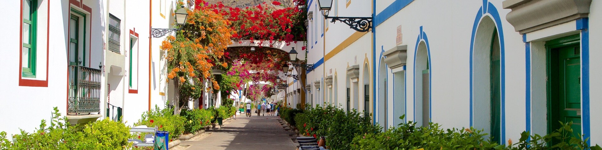 Uma rua estreita flanqueada por edifícios coloridos, com uma montanha ao fundo e vegetação exuberante nas laterais.