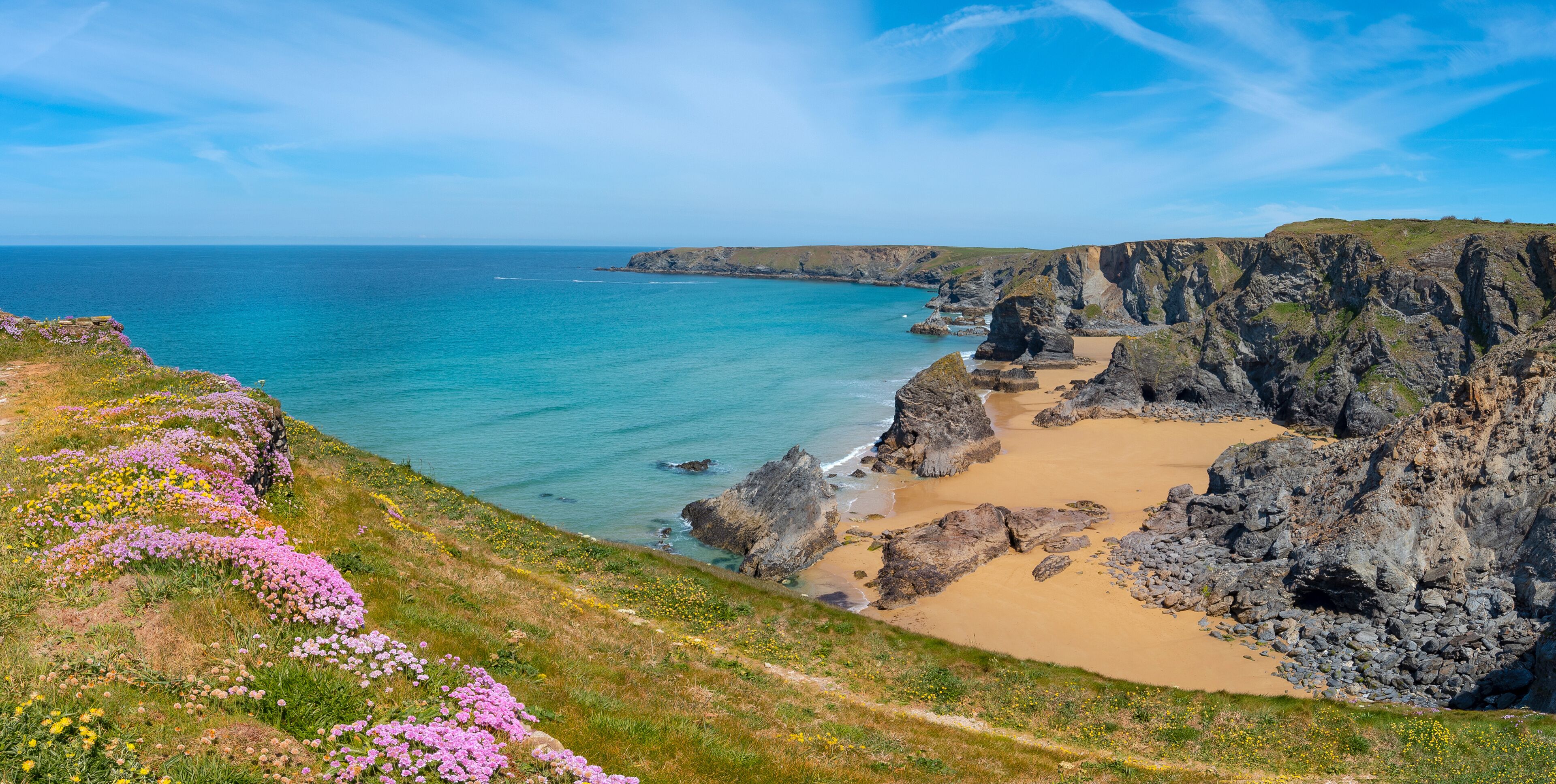 Paisagem costeira com falésias, uma praia arenosa e flores silvestres.