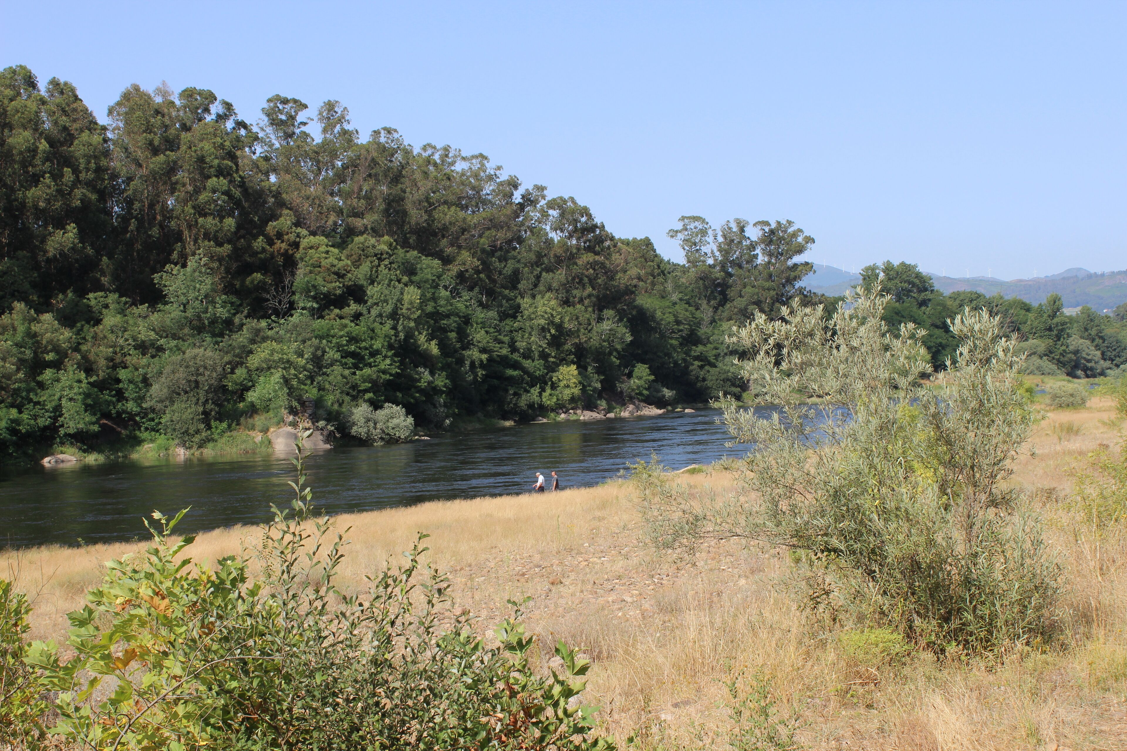 Um rio cercado por floresta densa e pastagem seca.