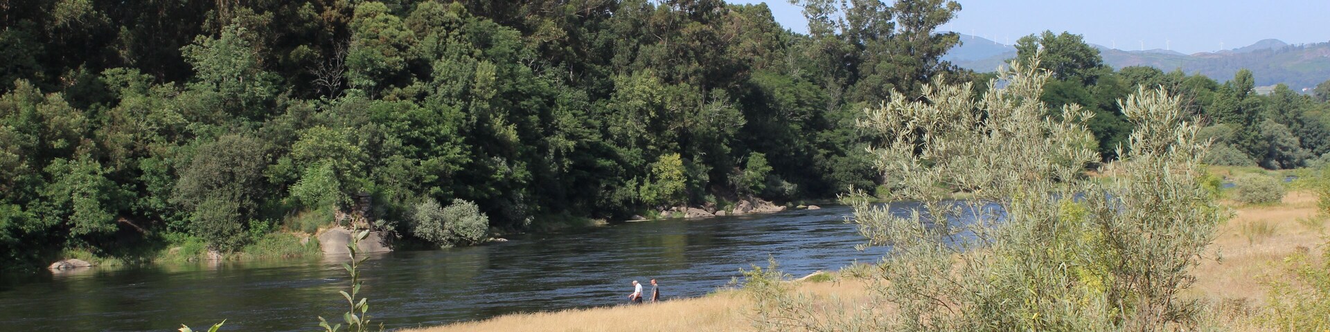 Um rio cercado por floresta densa e pastagem seca.