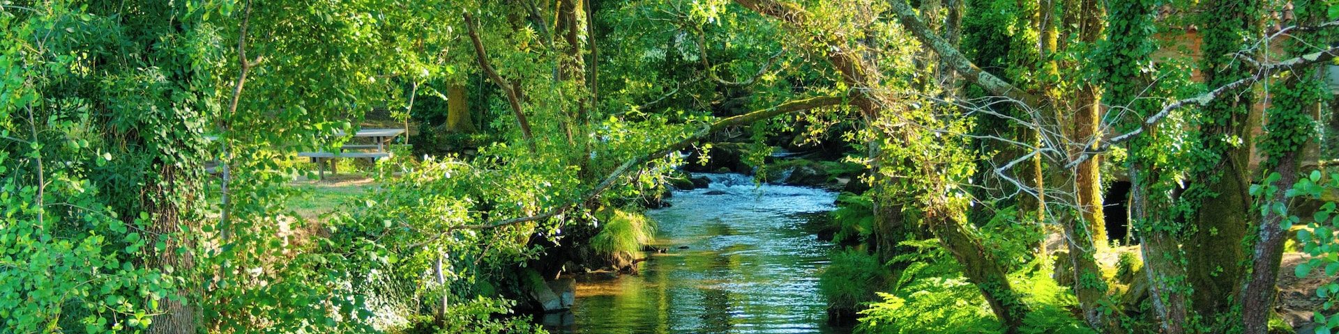Gadanha River in Monção.