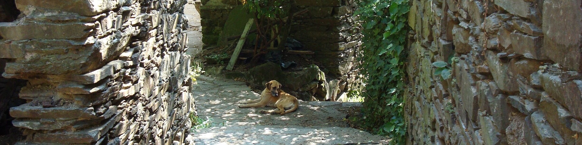 Shale villages
#Green