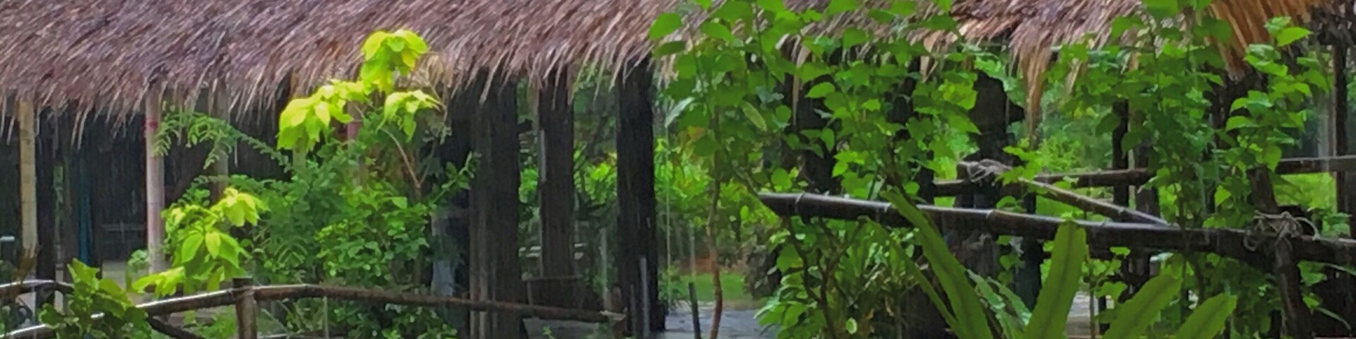 Greetings from Thailand - it was raining on this day, but beautiful landscape at the Rose Garden Cultural Center.
