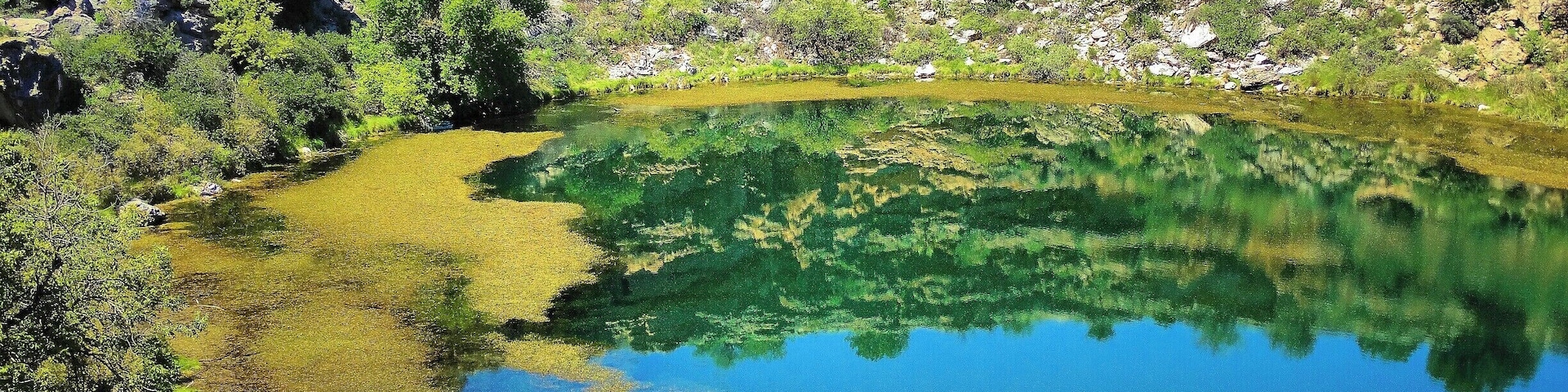 Most people are so focused on nearby Sedona that they miss a lovely hike around Montezuma's Well, full of history, culture, and wildlife (a juvenile rattlesnake shot out from the bushes as my foot was coming down and I stepped on it and immediately jumped a mile high and screamed, but don't let that scare you).
http://www.liferidingshotgun.com/2015/01/arizonas-national-parks-monuments.html