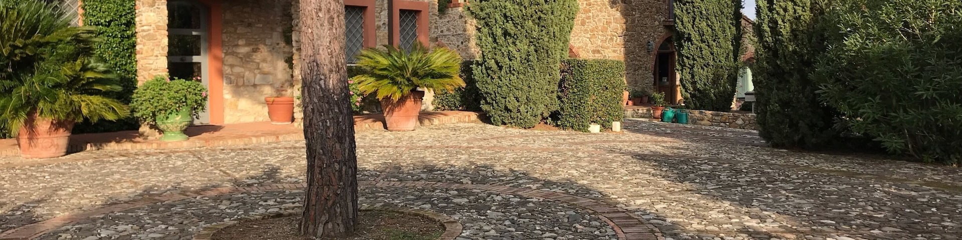 Typical landscape in Tuscany 🏔🌲🌳