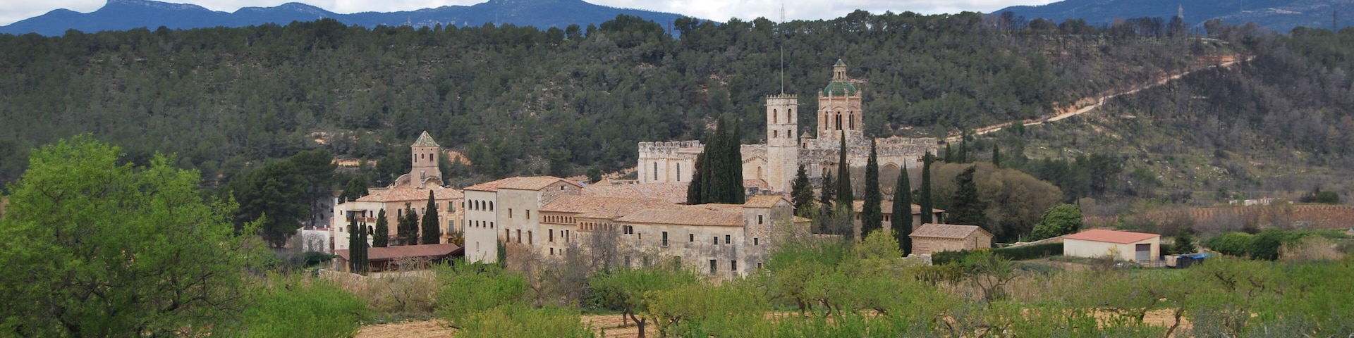 Monestir de Santes Creus (Aiguamúrcia) - General Overview