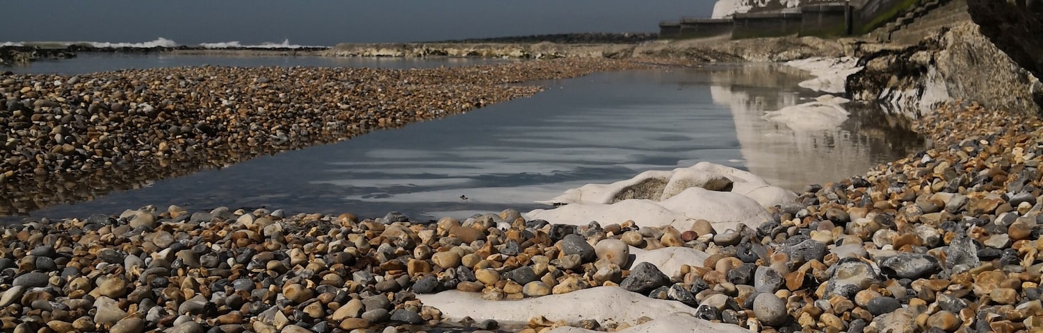 Saltdean is a great place and I walk along the undercliff most days.