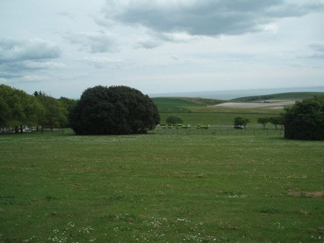 Um campo gramado com árvores e uma cerca ao longe.