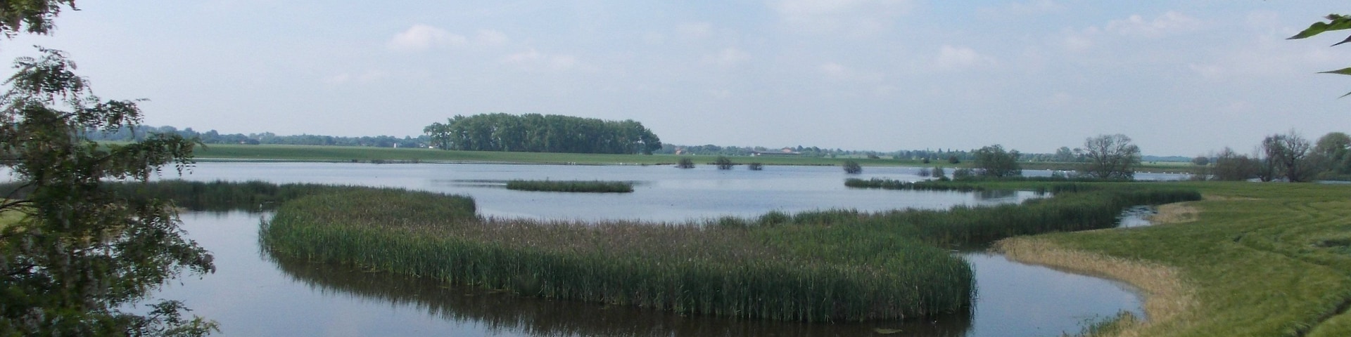 New lake near Gärnitz (Markranstädt, Leipzig district, Saxony)