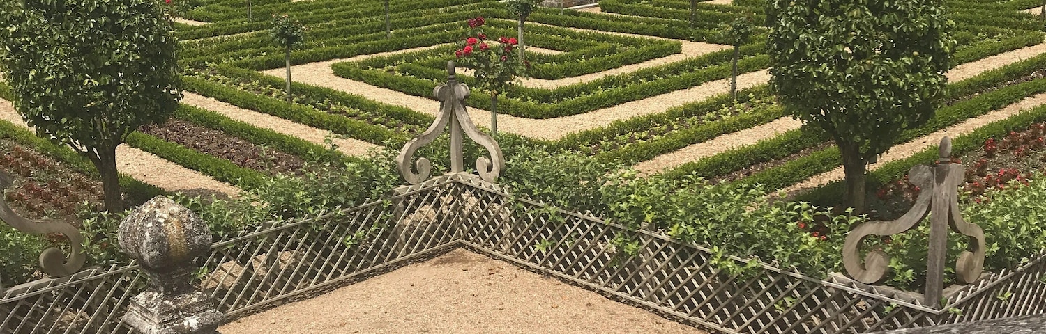 Wonderful gardens at Chateau de Villandry 🇫🇷