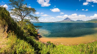 Paisagem costeira com vista clara para uma montanha ao longe, rodeada por vegetação exuberante e um mar calmo.