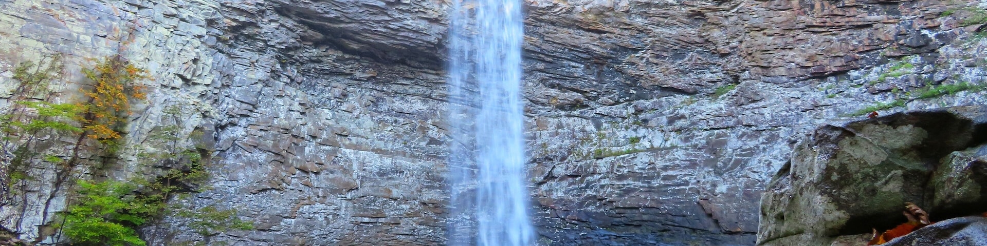 Ozone Falls 
#greatoutdoors
#nature