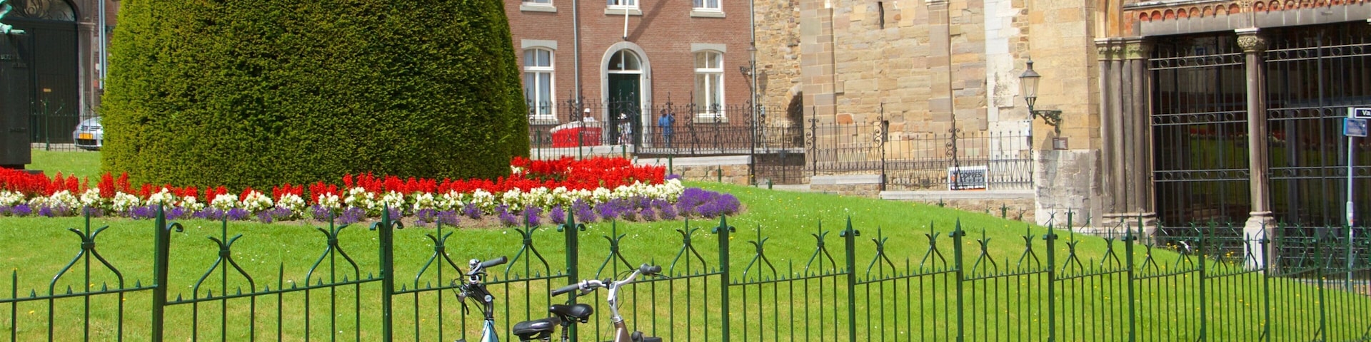 Maastricht mostrando um jardim e ciclismo