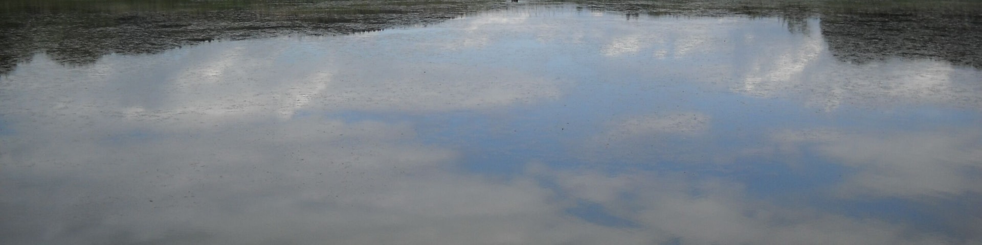 Forchheim, Am Örtelberg