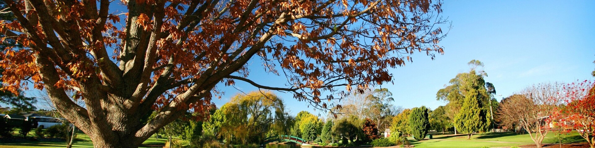Darling Downs mostrando cores do outono, um jardim e um lago