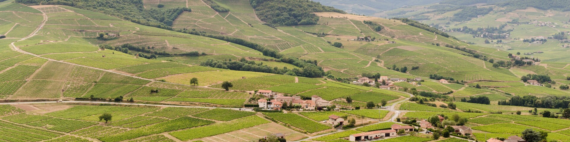 Paisagem de vinhedo com campos em socalcos e uma pequena aldeia.