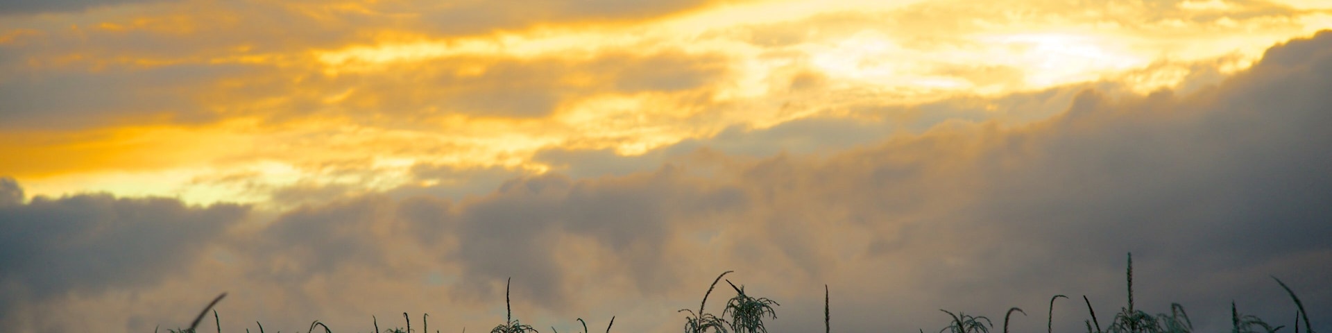 Massachusetts que inclui um pôr do sol e fazenda