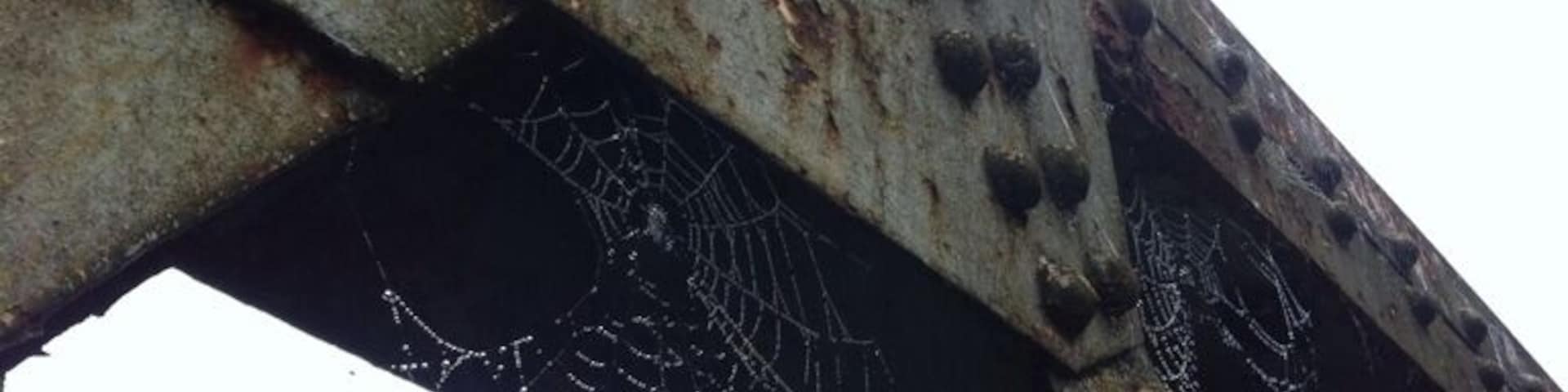 Puente ciudad Quesada, san Carlos, costa rica, tela de araña