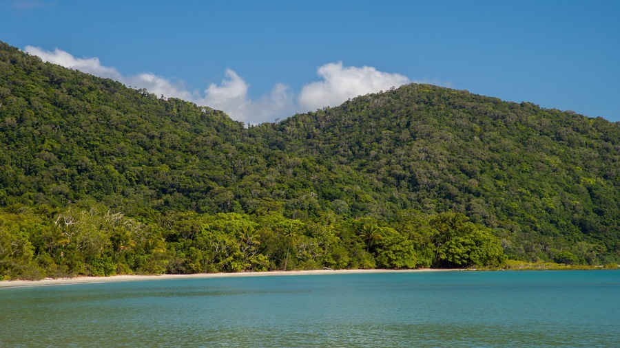 Uma praia tropical com águas turquesa cristalinas, cercada por montanhas verdejantes.
