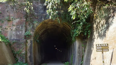 Um túnel de pedra antigo com vegetação exuberante e um sinalizador com texto.