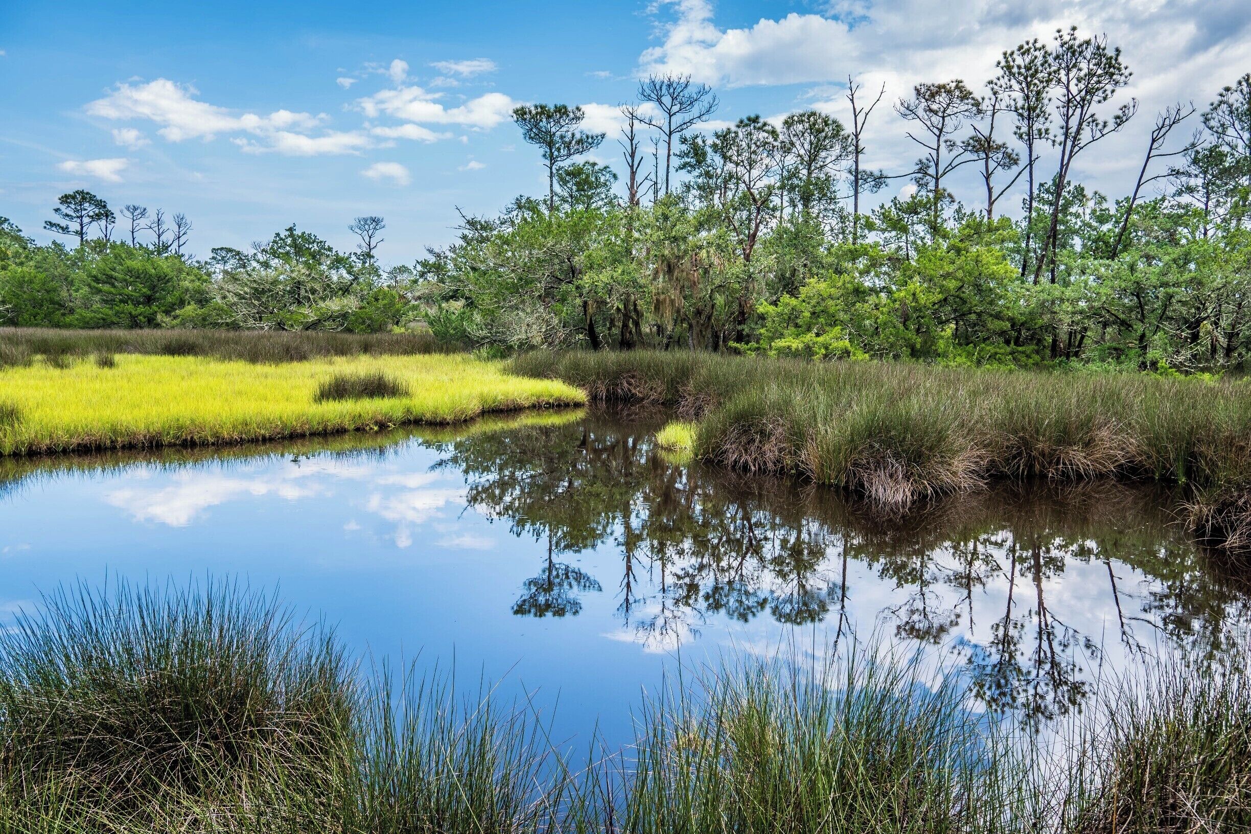 Day 1 of my road trip across the USA brought me to my favorite city in Florida, St. Augustine; the oldest city in the country, and easily one of the most beautiful. 
👇🏽
I snapped this shot at Fort Mose Historic State Park. This incredible site is a U.S. National Historic Landmark, and the rich history of this place is something that every school should be teaching our youth. 👇🏽
Hidden away in the marshes of St. Augustine is one of the most important sites in American history: the first free community of ex-slaves, founded in 1738 and called Gracia Real de Santa Teresa de Mose or Fort Mose (pronounced Moh-Say). Fort Mose played an extremely important role in the development of colonial North America. 
👇🏽
As early as 1687, the Spanish government had begun to offer asylum to slaves who managed to escape from British colonies (the first Underground Railroad ran SOUTH to Florida from the colonies!). In 1693, the Spanish Crown officially proclaimed that runaways would find freedom in Florida, in return for converting to Catholicism and a term for men of four years' military service to the Crown. In effect, Spain created a maroon settlement in Florida as a front-line defense against English attacks from the north. Spain also intended to destabilize the plantation economy of the British colonies by creating a free black community to attract slaves seeking escape and refuge from British slavery.
👇🏽
Fort Mose was the first free African settlement legally sanctioned in what would become the United States and had a total population of about 100. The village had a wall around it, with dwellings inside, plus a church and an earthen fort.
👇🏽
The history of Fort Mose is far deeper, and far more interesting then I can convey on @Instagram so please do your own reading on it and learn more about the very earliest history of what is now the United States.