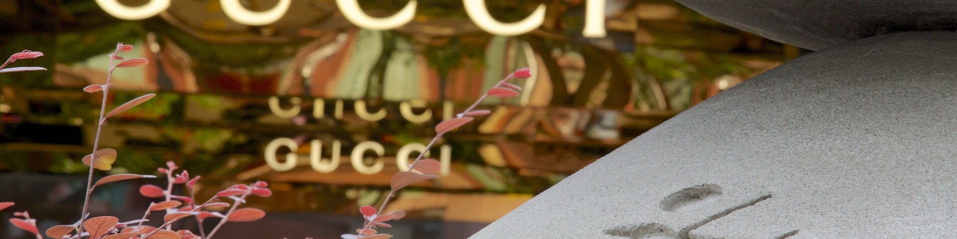 Uma pedra com o logotipo da Gucci e uma planta em primeiro plano.