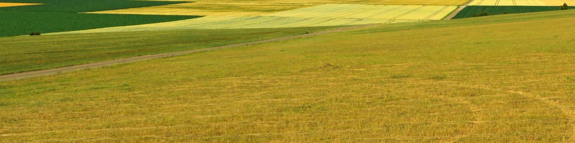Schlechtenfeld