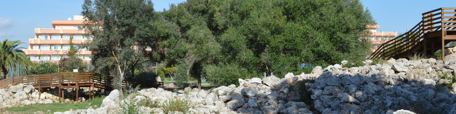Mallorca 2014