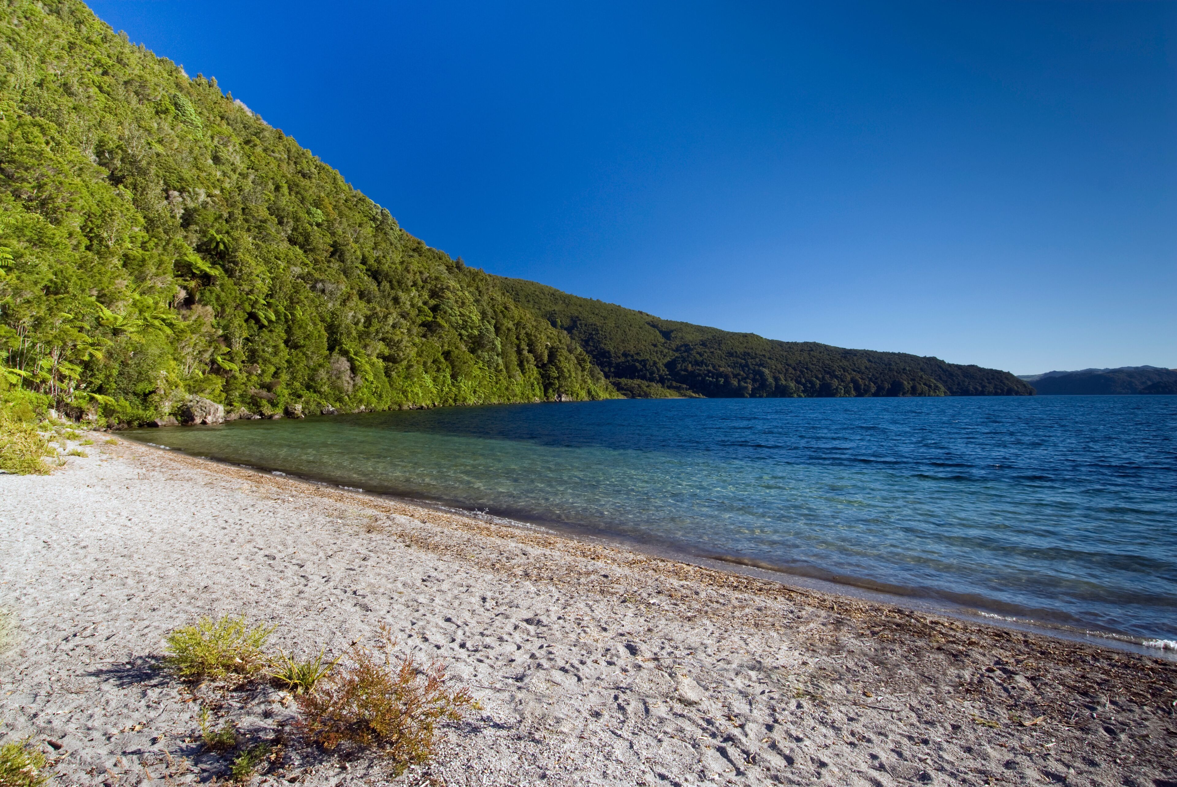 Um lago límpido com uma praia arenosa e uma encosta arborizada.