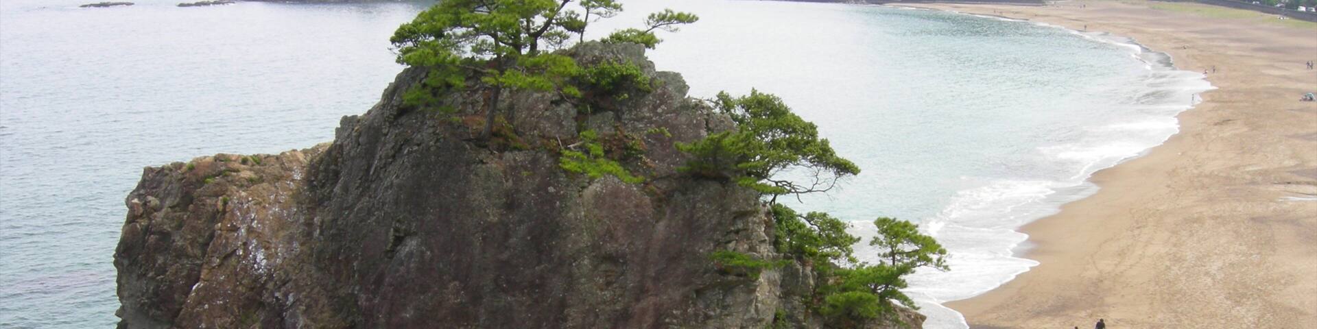 Shikoku showing a bay or harbor, general coastal views and a sandy beach