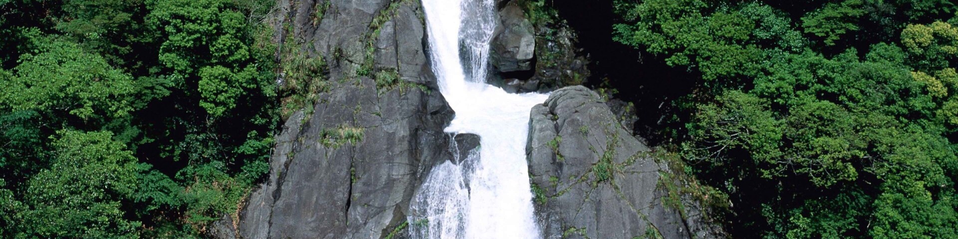 Shikoku mostrando cenas de floresta e uma cachoeira