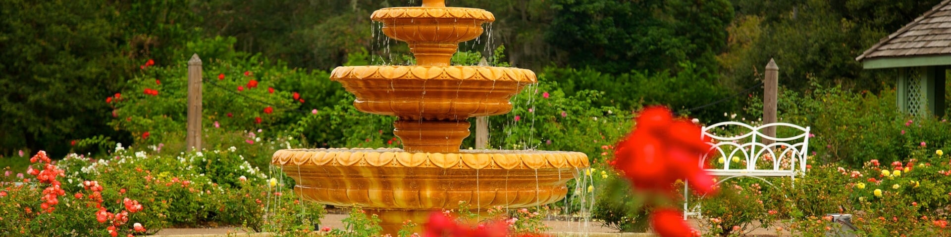 Região central da Flórida mostrando uma fonte, um jardim e flores