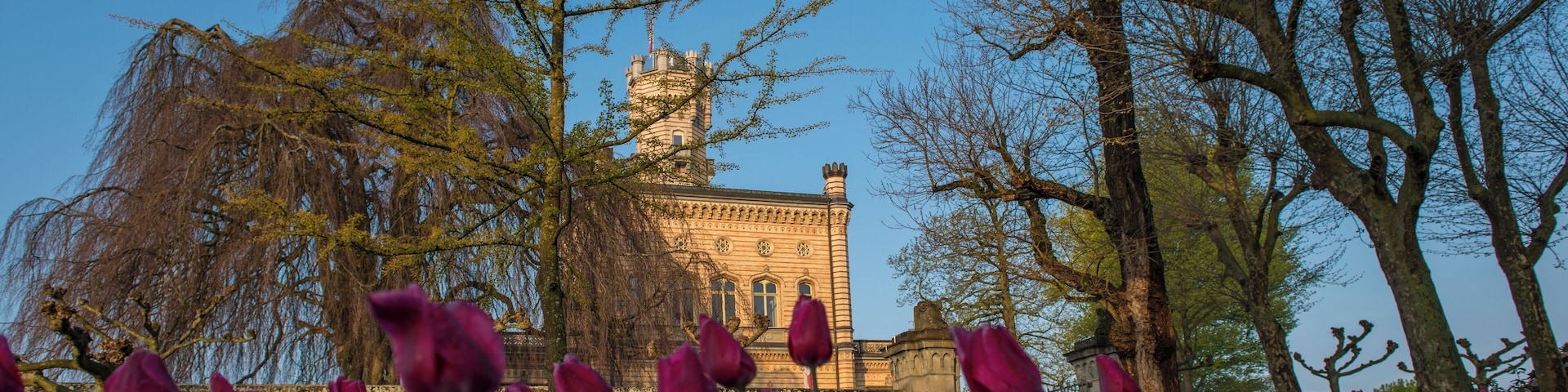 Das Schloss Montfort am Bodensee ist das Wahrzeichen der Gemeinde Langenargen. Einst unter dem Namen Villa Argena geplant, sollte es König Wilhelm I. von Württemberg als Lustschloss dienen. Es entstand auf einer Landzunge am Platz der Ruine der Burg Argen.