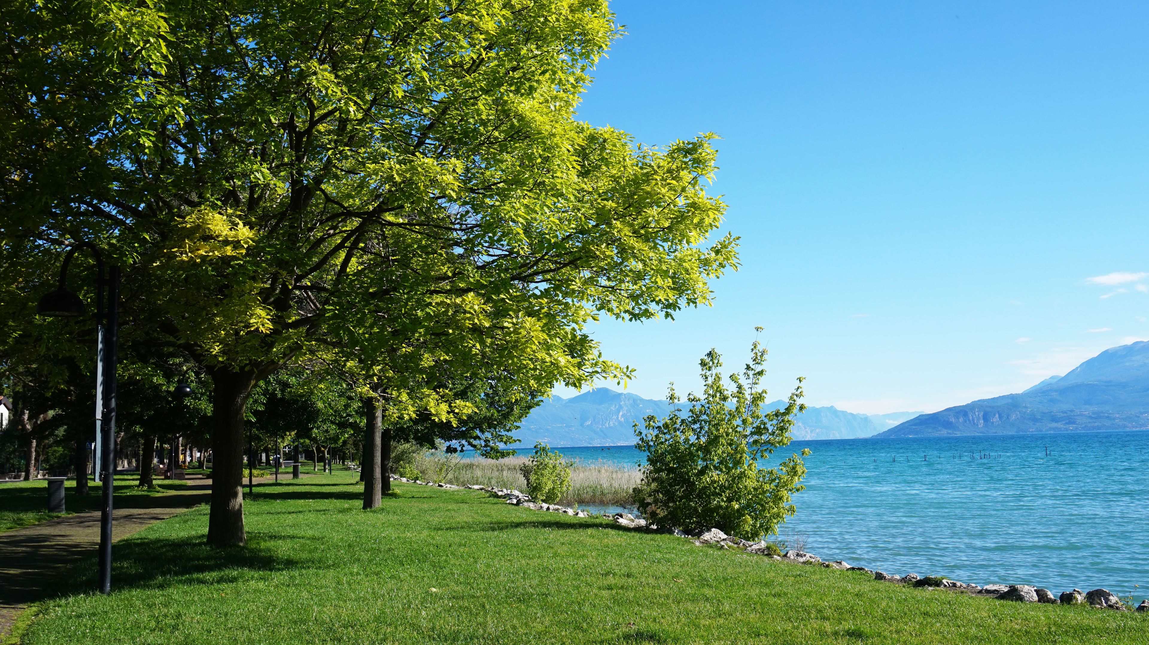 Um parque com um lago, árvores e montanhas ao fundo.