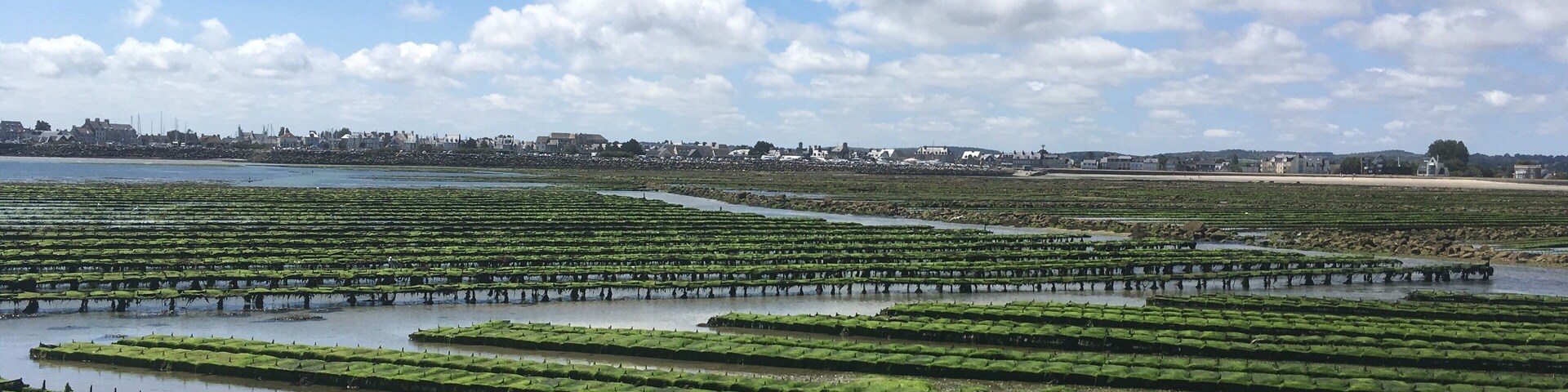 From the island Tatihou we can see oysters of Saint Vaast
It was a wonderful trek during the low tide
#france