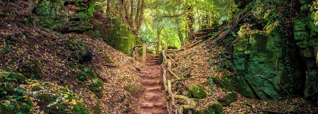#Puzzlewoos is a #magical #mystical #forest and used as a #location for many #tv and #film backdrops well worth a visit to the place if you in the area. Car park , toilets and cafe all on site
#woods #forest #autumn #trees #leaves #countryside #fall