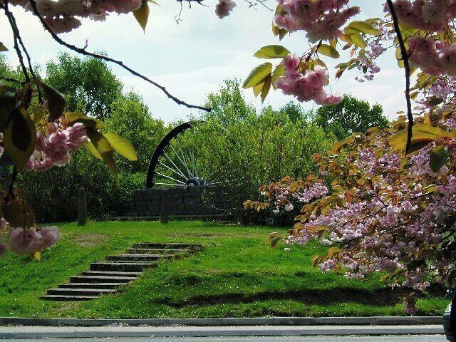 Um parque com uma grande roda d'água, área gramada e cerejeiras em flor.