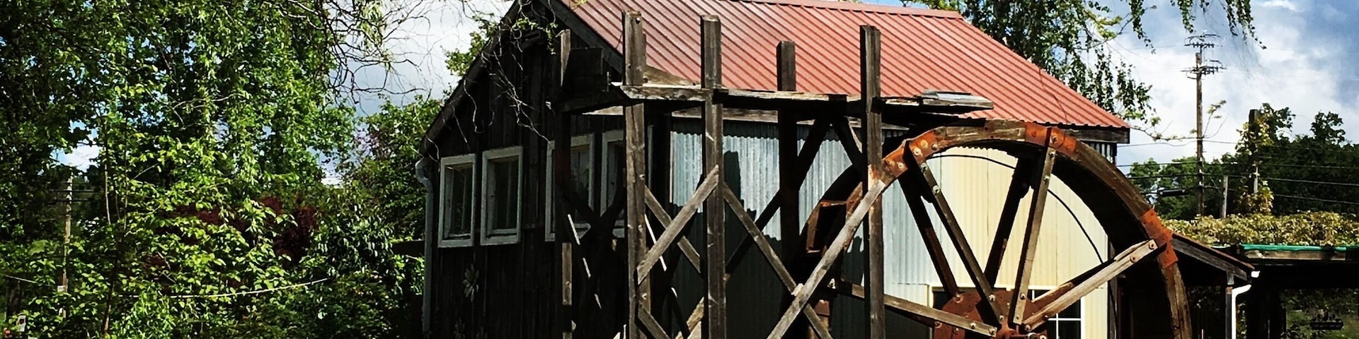 A glorious day at the Flower Farm - café, nursery and bed & breakfast. A great place to chill and enjoy the day☀️